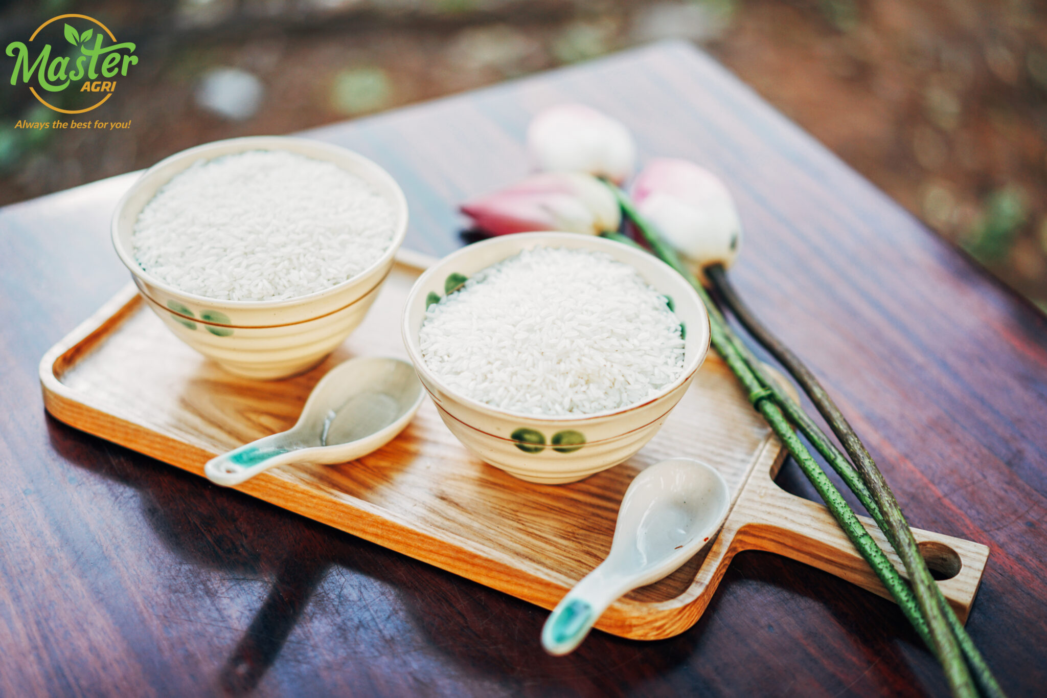 Long Grain White Rice (504) – VIETNAM WHITE RICE 5% BROKEN (IR50404) - Master Agri Corporation