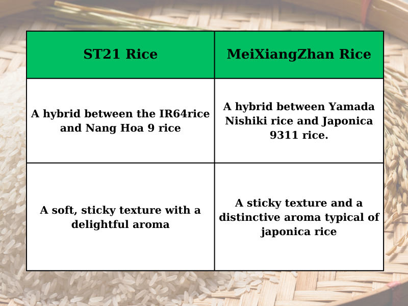 COMPARE ST21 RICE FROM VIETNAM AND MEIXIANGZHAN RICE FROM CHINA ...