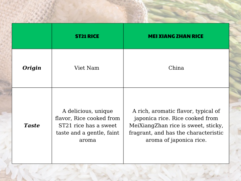COMPARE ST21 RICE FROM VIETNAM AND MEIXIANGZHAN RICE FROM CHINA ...
